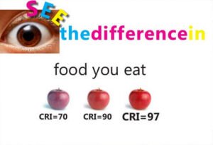 High CRI LED Downlights Best for Contractors and Designer